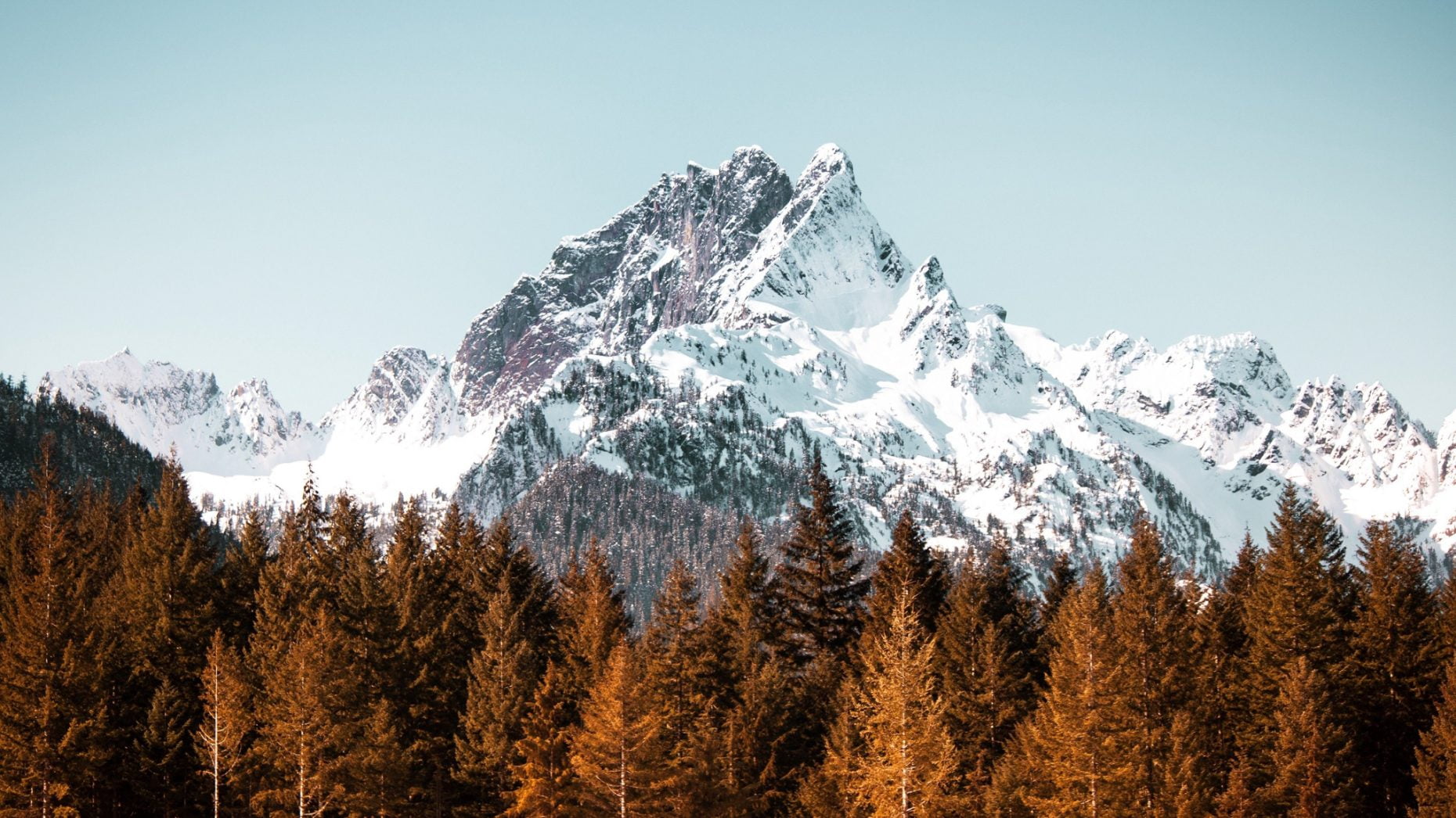 Firewood Calgary | Buy Top Quality Firewood @ Best Price | Timber Ridge
